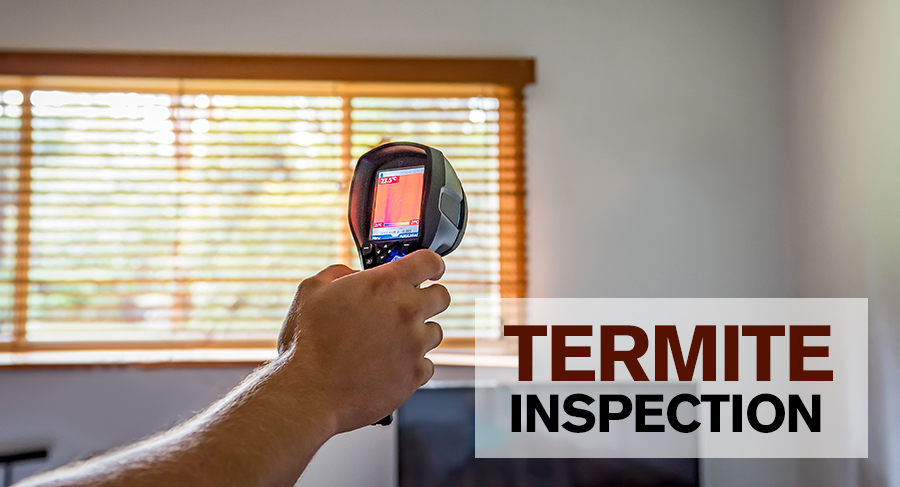 Marcon Termite and Pest Control – Termite Inspection, Treatment, Monitoring