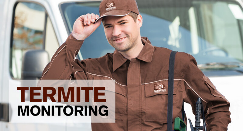Marcon Termite and Pest Control – Termite Inspection, Treatment, Monitoring